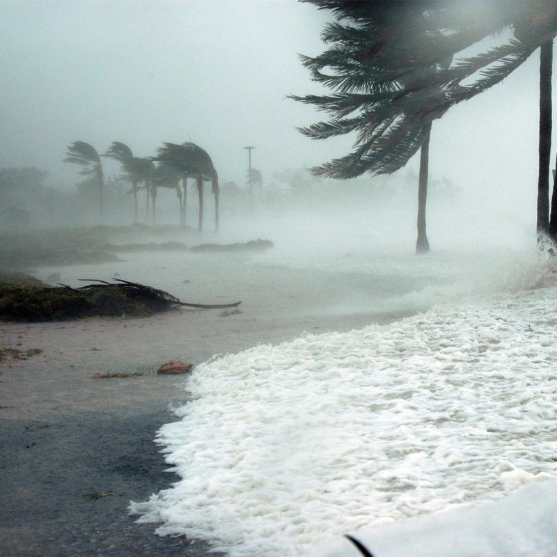 3M Safety and Security Window Film - NGS